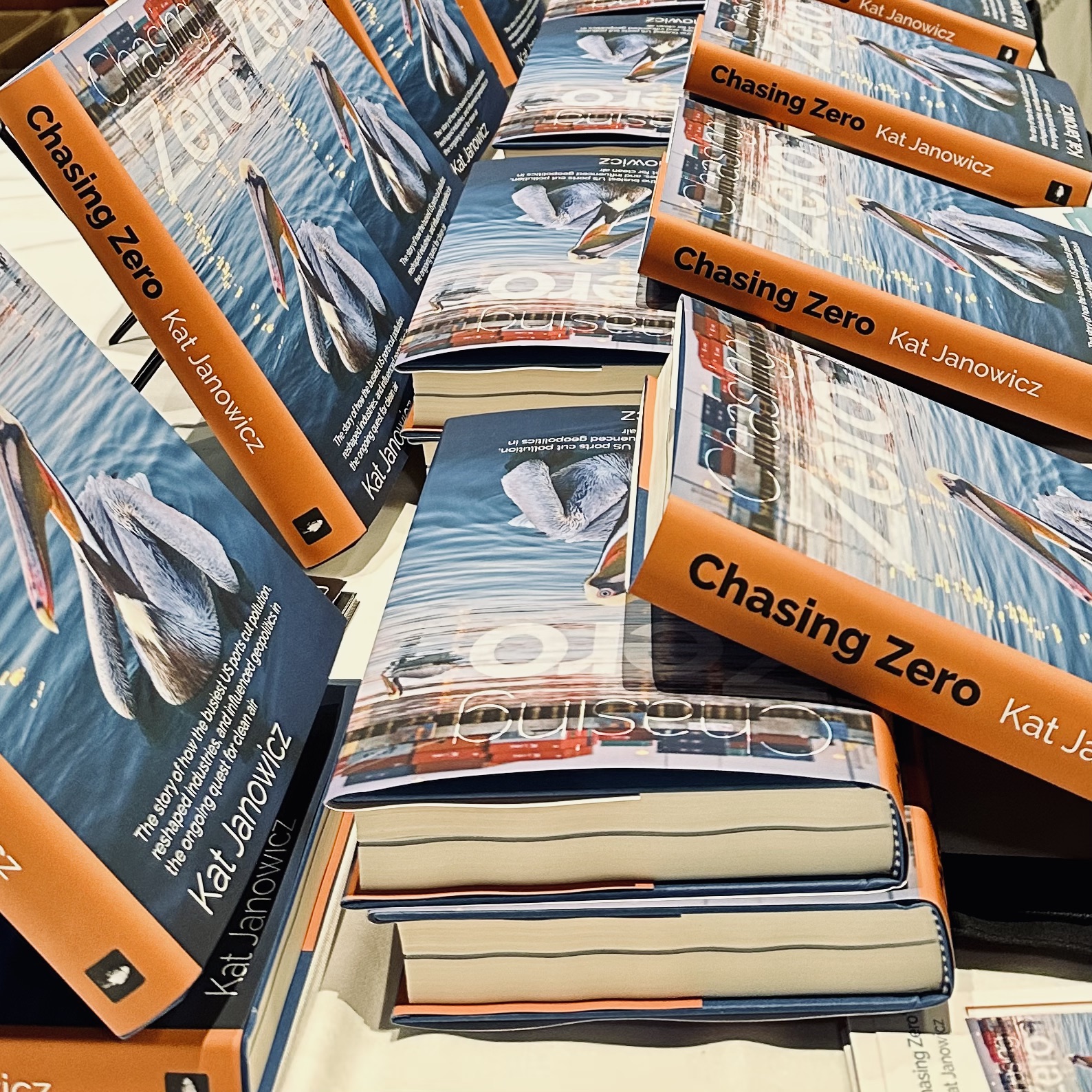 "Chasing Zero" Has Arrived! : Kat Janowicz